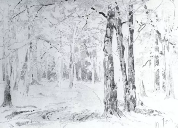Path in a Forest by Ivan Ivanovich Shishkin Oil Painting Reproduction ...