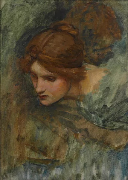 Study For The Head Of Venus In The Awakening Of Adonis by John William ...