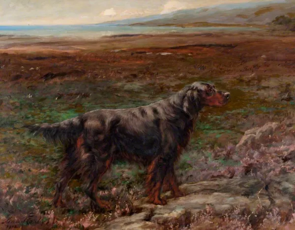 Rum Bess, Gordon Setter by Maud Earl Oil Painting Reproduction For Sale ...