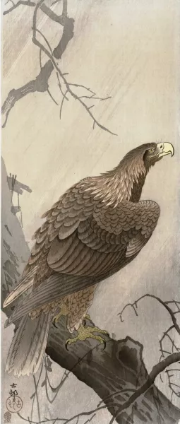 Eagle on tree branch by Ohara Koson Oil Painting Reproduction For Sale ...