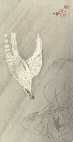 Hunting hawk by Ohara Koson Oil Painting Reproduction For Sale ...