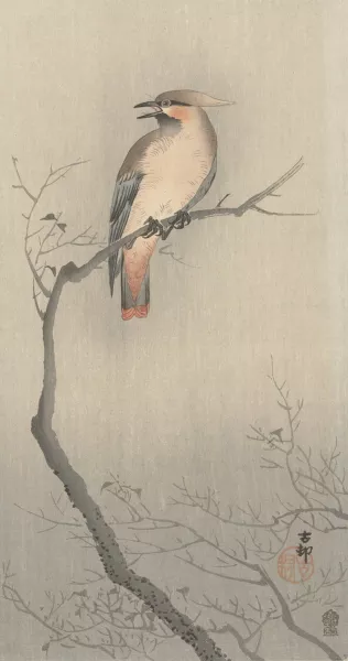 Japanese waxwing on branch by Ohara Koson Oil Painting Reproduction For ...