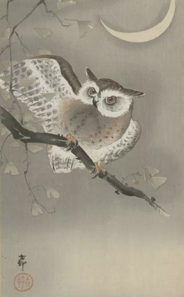 Long-eared owl in ginkgo by Ohara Koson Oil Painting Reproduction For ...