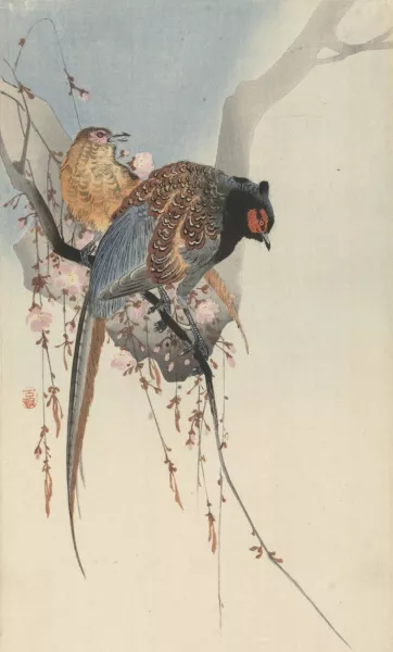 Pheasant couple and plum blossom by Ohara Koson Oil Painting ...