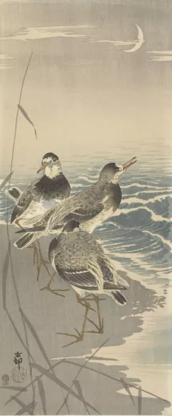 Sandpipers at sickle moon by Ohara Koson Oil Painting Reproduction For ...
