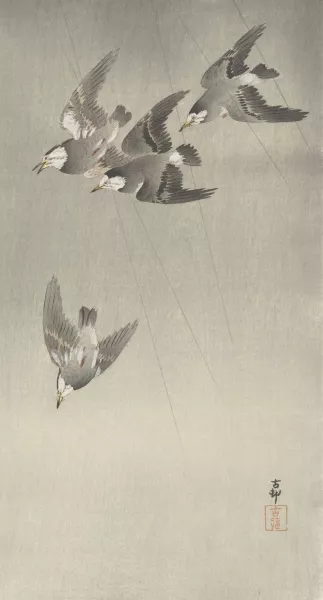Starlings in the rain by Ohara Koson Oil Painting Reproduction For Sale ...