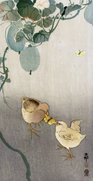 Two chicks fighting for butterfly by Ohara Koson Oil Painting ...