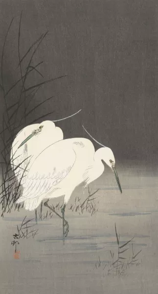 Two egrets in the reeds by Ohara Koson Oil Painting Reproduction For ...