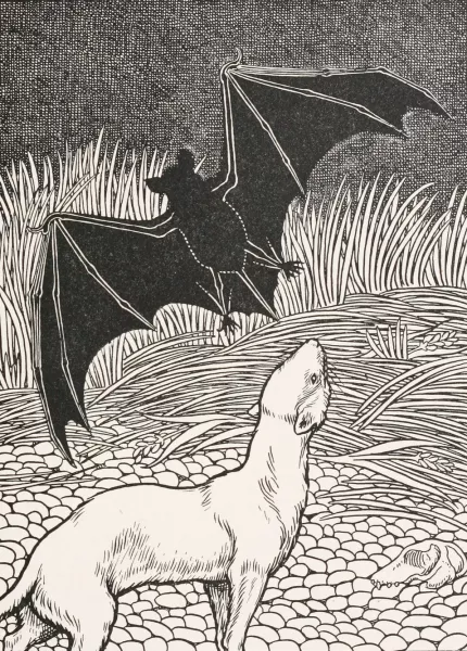 The Bat and the Two Weasels by Percy J. Billinghurst Oil Painting ...